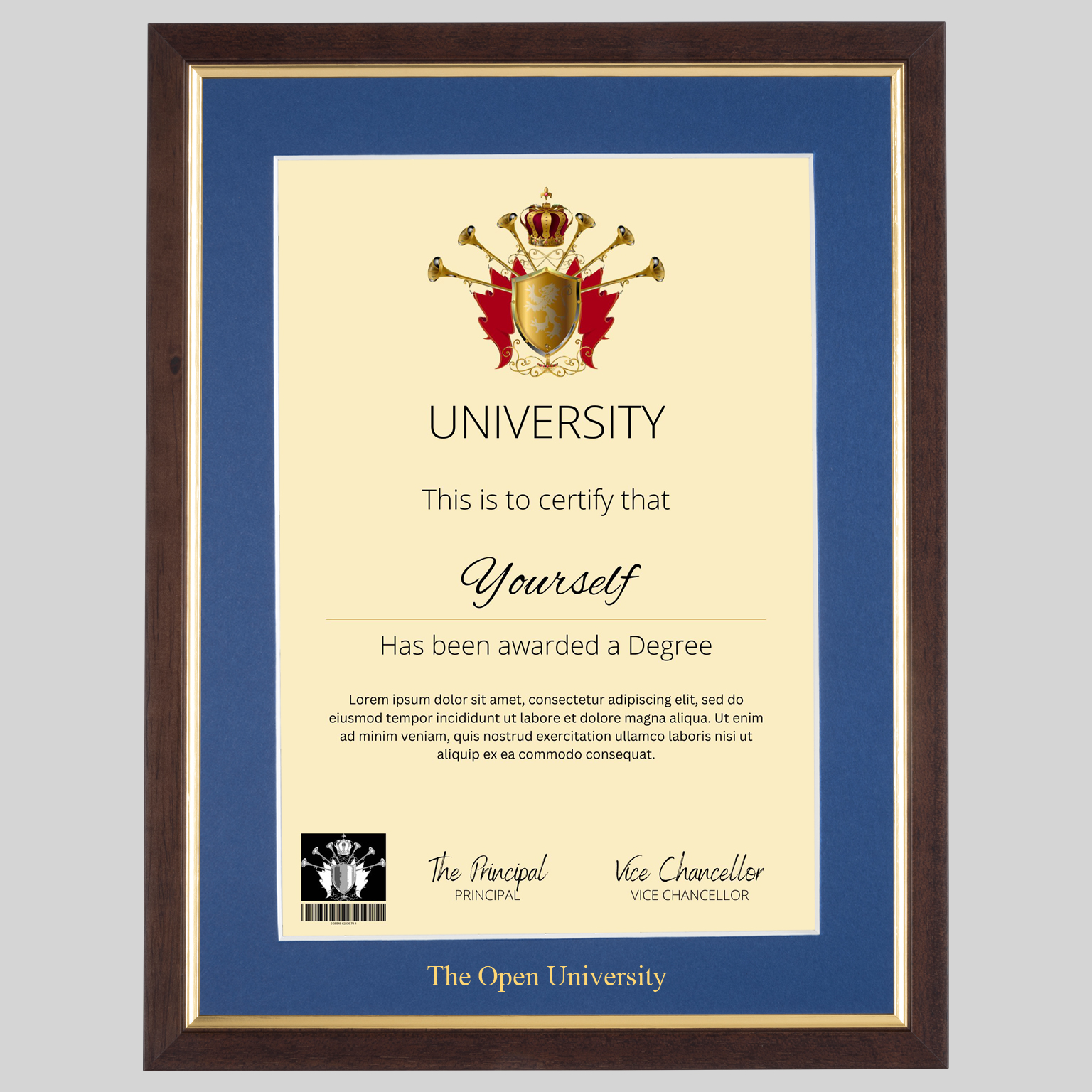 The Open University graduation certificate Frame - Professional Framing ...