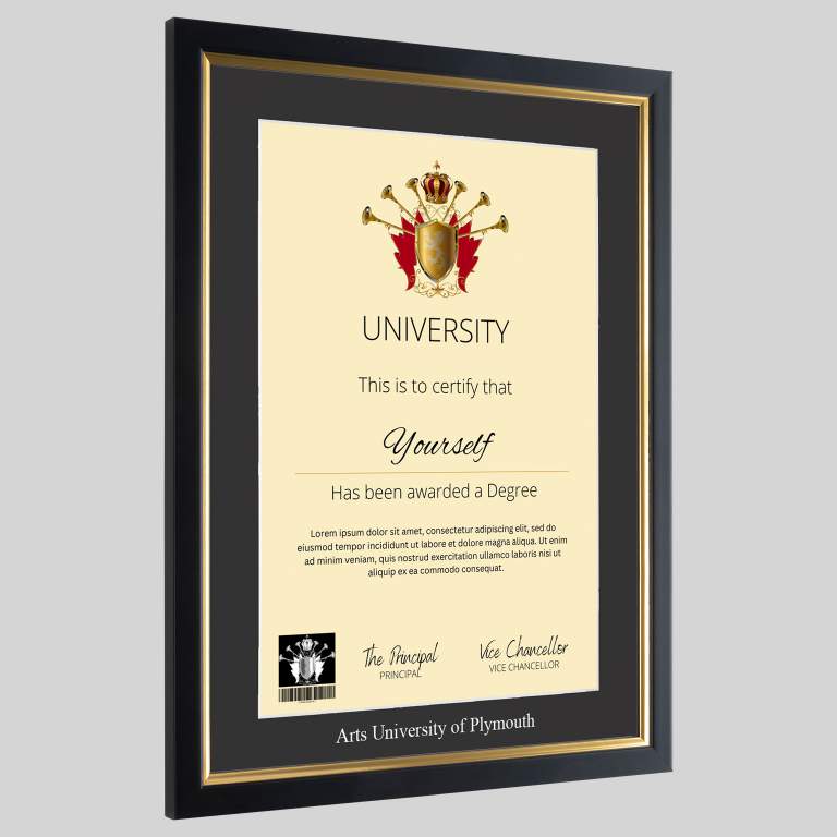 Arts University of Plymouth graduation certificate Frame | Professional ...