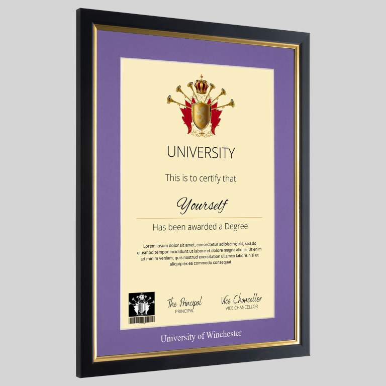 University of Winchester graduation certificate Frame | Professional ...