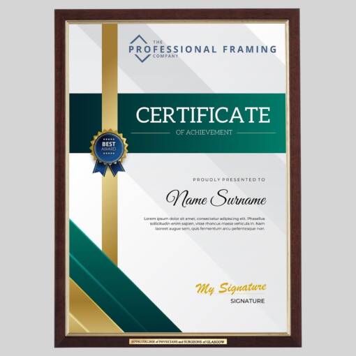 Royal College of Physicians and Surgeons of Glasgow certificate frame ...